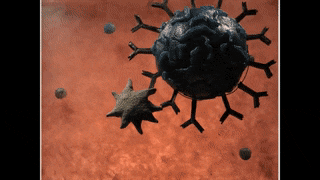 Post-task Lecture 7 (Prof. Szczelkun)